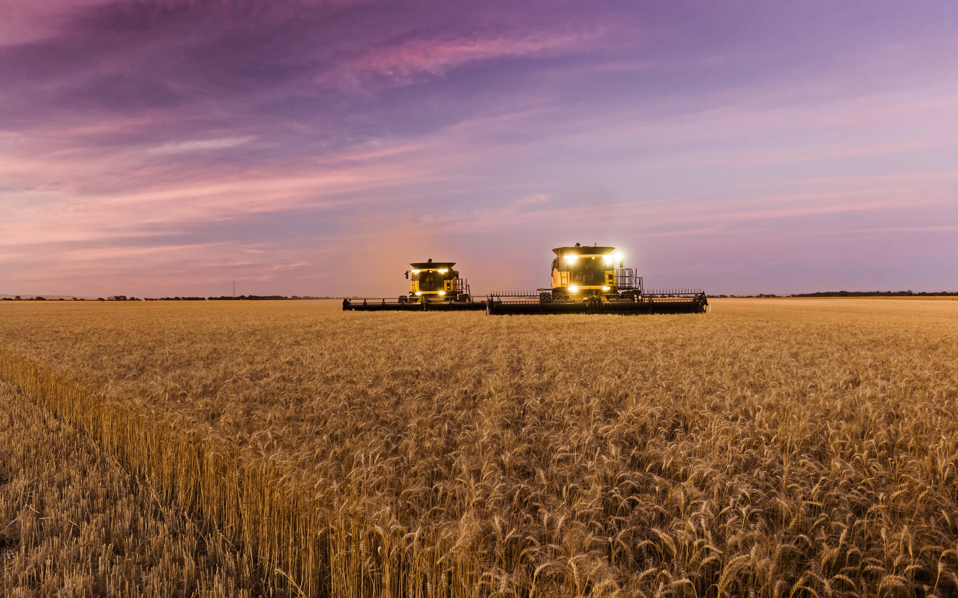 Home | Viterra Kazakhstan